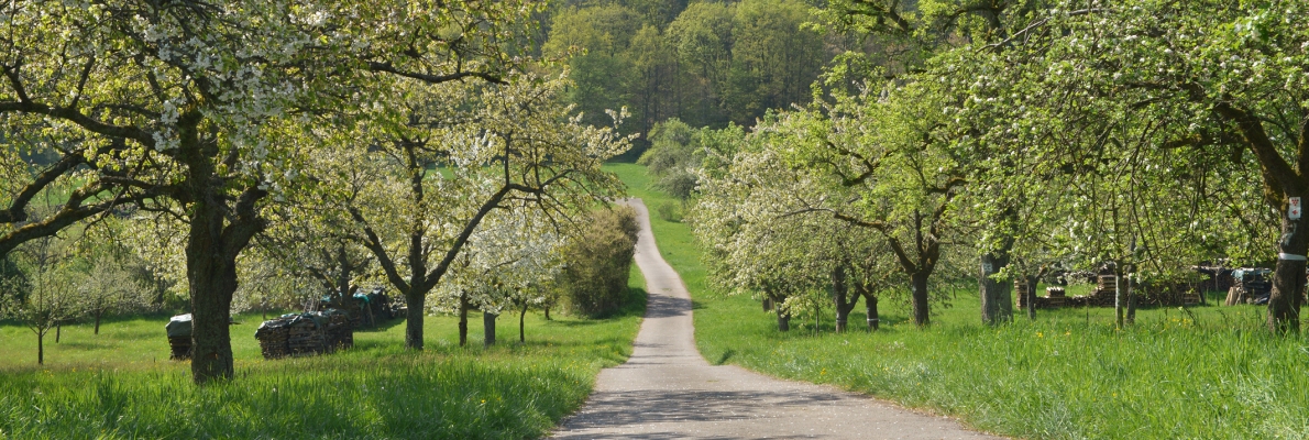 Ortsplan und Anfahrt – Gemeinde Freudental