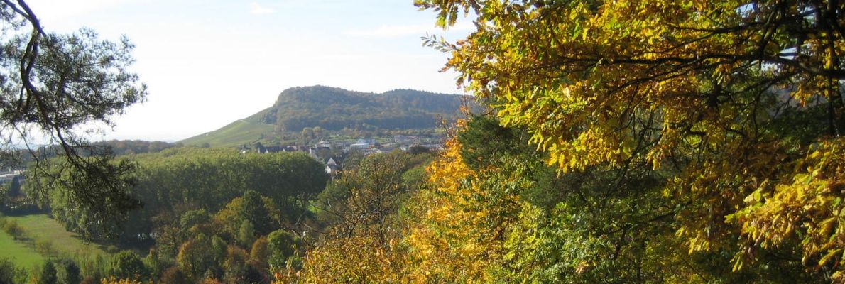 Gemeinde informiert – Gemeinde Freudental